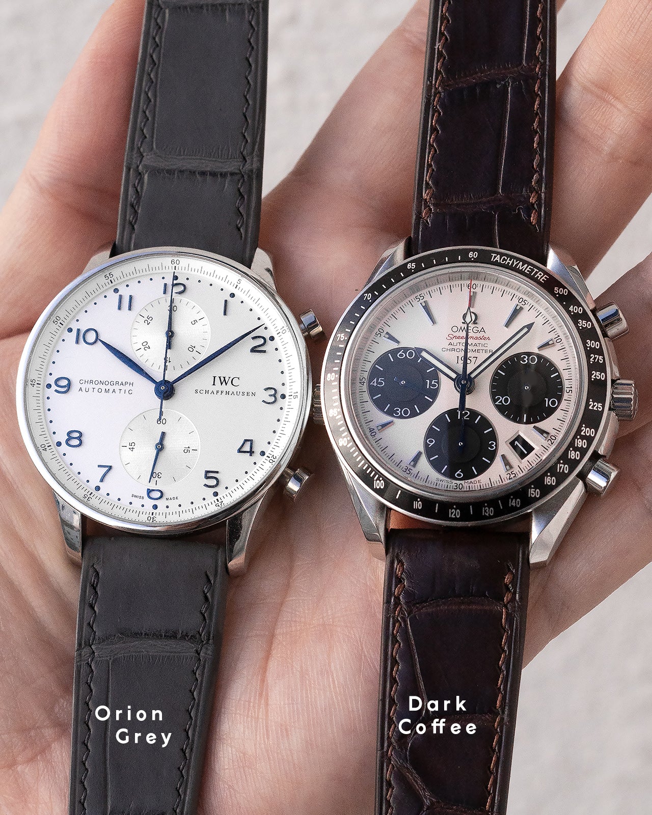 Custom - Alligator Leather Strap (Square Scales) - Monstraps